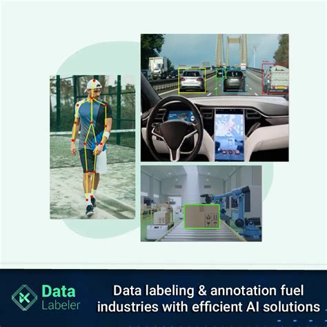 Data Labeler On Tumblr