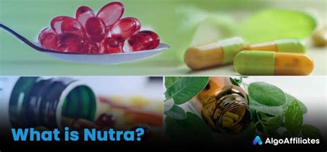 Best Nutra Affiliate Marketing Programs Algo Affiliates
