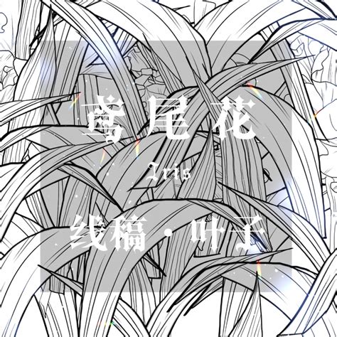 Paint