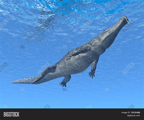 Sarcosuchus