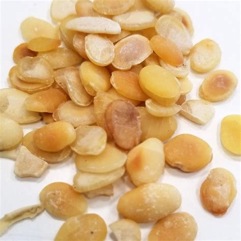 Bai Bian Dou Lablab Semen Album 白扁豆 —