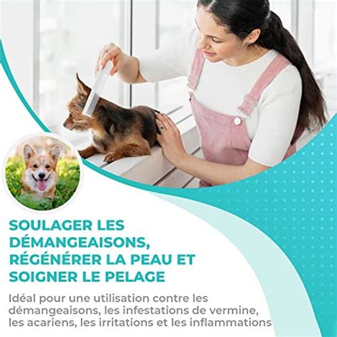Shampooing anti demangeaisons chien naturel contre les démangeaisons