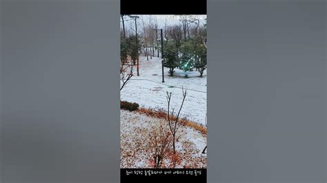 자동차가 도로를 지나가는 소리 20221221 눈이 구경하기 좋을 만큼 엷게 쌓인 후 눈비가 내리던 오전 Youtube
