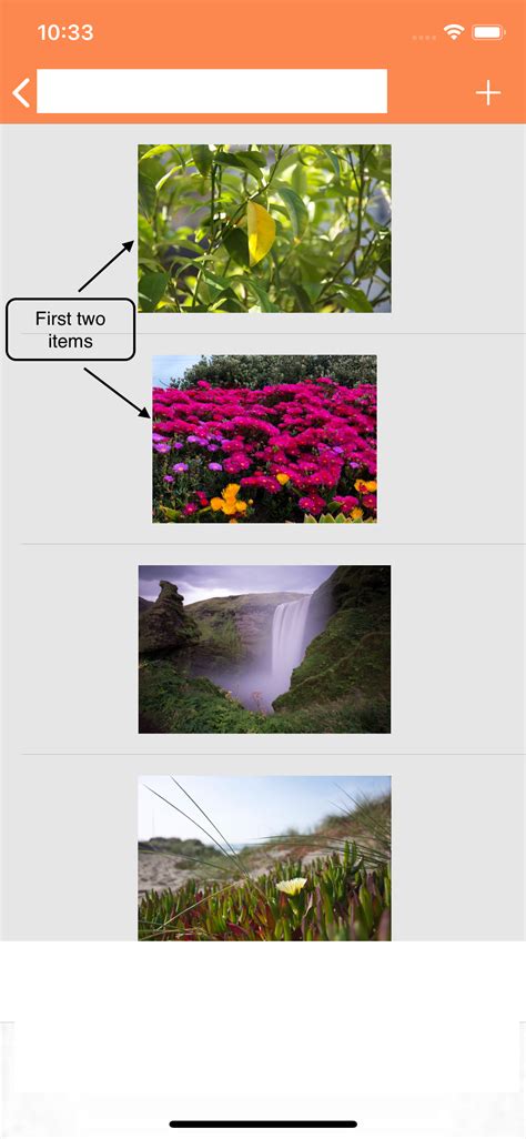 Ios Radlistview First Items In The List Not Showing · Issue 1261