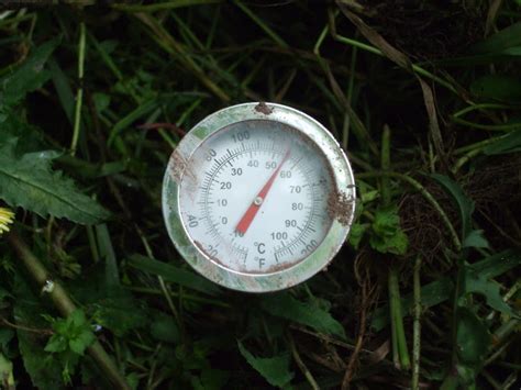 The Compost Bin Hot Bin Trial After 4 Weeks First Sight Behind The