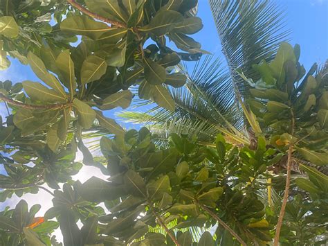 Projects Jess Taylor Designer