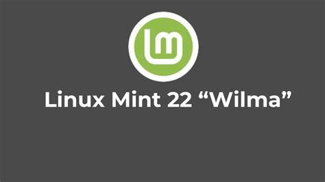 Install Linux Mint 22 Wilma Youtube