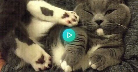 When Youve Been Browsing Imgur So Long Nothing Works Right When You