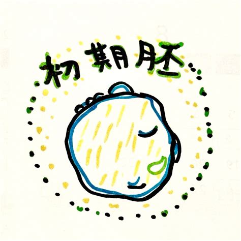 D18 初期胚移植日 39歳 低amh不妊治療｜人工授精3回｜採卵3回｜2度目の体外受精移植へ