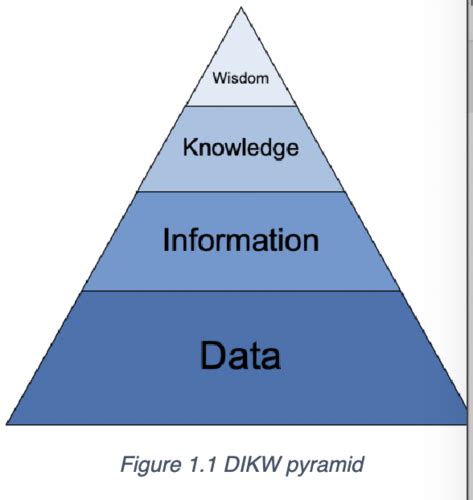 Database Mgmt Flashcards Quizlet