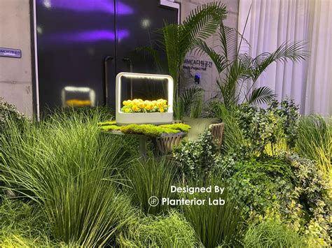 Lg틔운 2022 Frieze Seoul Vvip행사 플랜테리어 플랜테리어랩