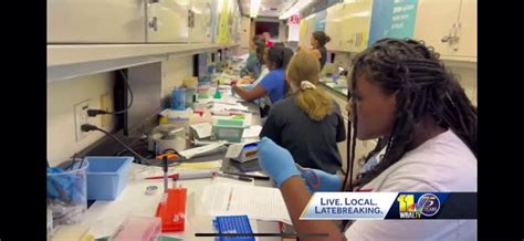 [video] anike akinfolarin on linkedin womeninstem