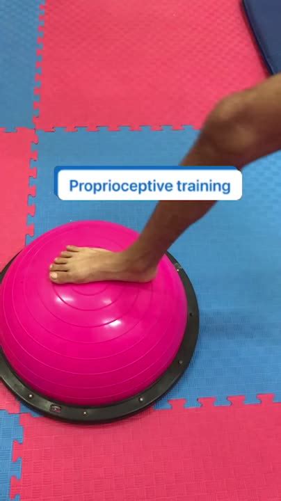 How Proprioceptive Training Improves Acl Rehabilitation Mohamed Negm