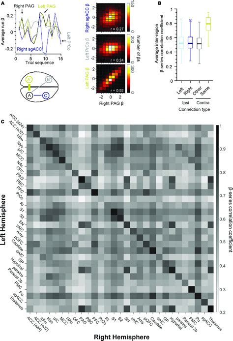 Same Regions Across Hemispheres Exhibit Strong Connectivity During