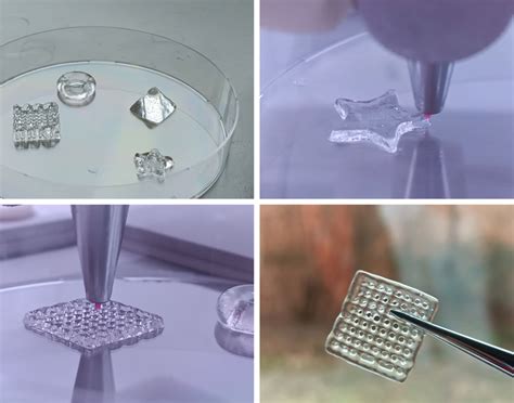 Hu3dinks Project Aims To Revolutionize 3d Bioprinting With Human Like Bio Inks 3d Printing