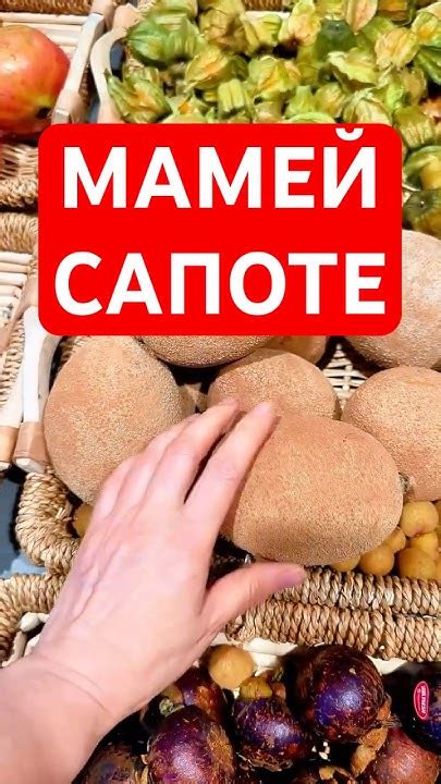 МАМЕЙ САПОТЕ La Sapote Mamey Экзотический фрукт с древней историей Youtube