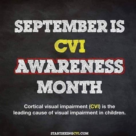 Cvi Is The Leading Cause Of Visual Start Seeing Cvi