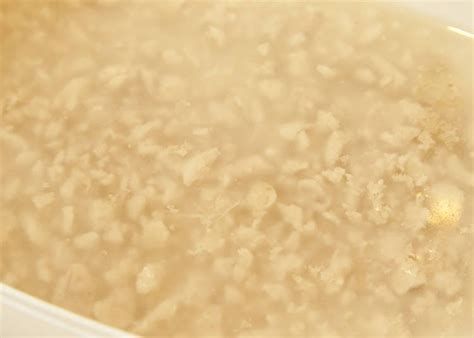 超濃厚から圧倒的うま味まで！ラーメン激戦区「京都で食べるべき拉麺」7選 Live Japan 日本の旅行・観光・体験ガイド