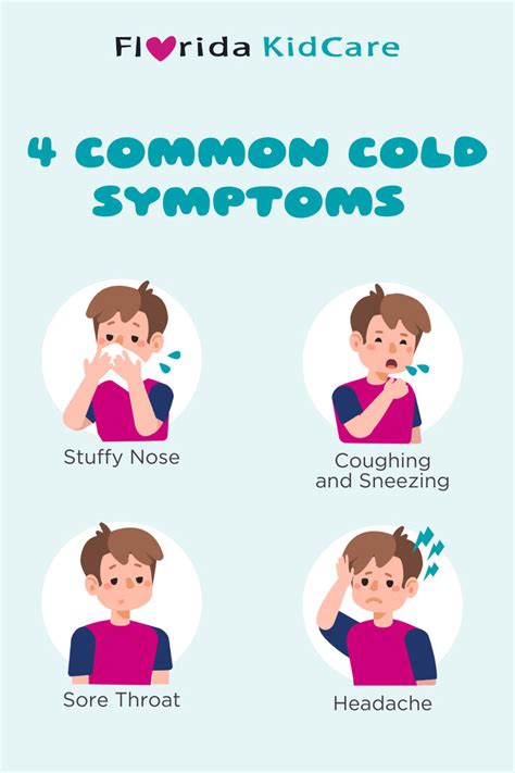 4 Common Cold Symptoms In 2025 Common Cold Symptoms Cold Symptoms