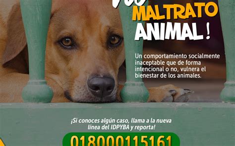 Casos De Maltrato Animal En BogotÁ Reportarlos Solo A TravÉs De Los