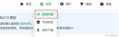 Termux 快速搭建 Gitea Git代码管理服务器 （附内网穿透教程，使外网可访问）termux Frp Csdn博客
