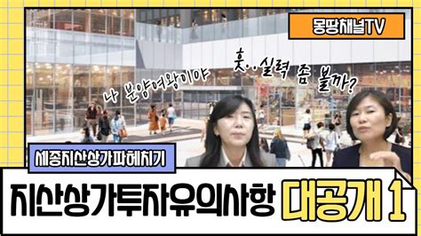 세종시상가 대명밸리온 지식산업센타 지원시설 상가 파해치기 Youtube