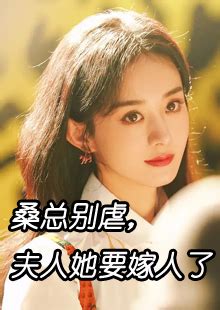 女主叫南枫男主叫桑胤衡的小说书名是什么 搜词文学