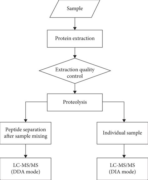 Graphic Workflow Of The Present Study Download Scientific Diagram