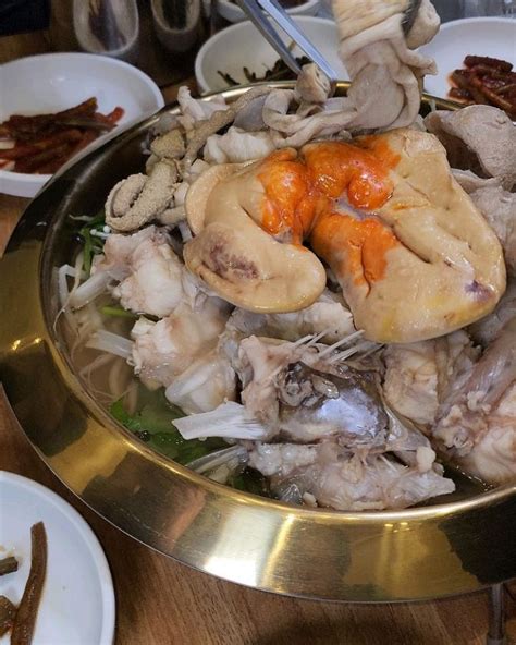 대구맛집 전국맛집 먹스타 미미 일상 💕 대구 수성동 활아귀수육 맛집 금손아귀 주문 즉시 신선한 활 아귀로 요리를