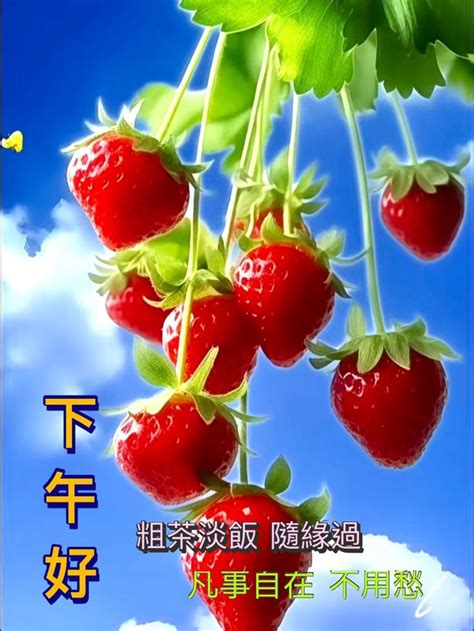 Pin De Fajar Terang En Good Afternoon Uvas