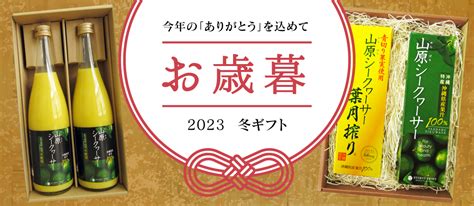 カテゴリ 琉球フロントオンラインショップ【本店】