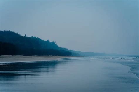 Why Does My Iphone Say Could Not Activate Cellular Data Network