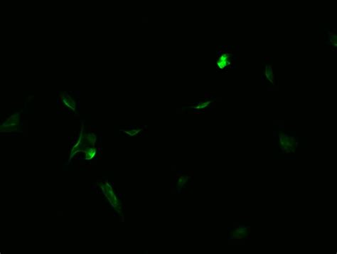 Questions With Answers In DAPI Science Topic