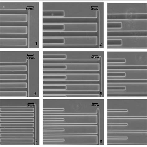 IDEs Configurations Download Scientific Diagram