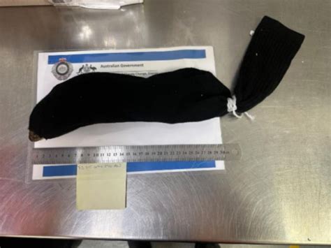 Qinyu Han Of Point Cook Attempts To Export Shingleback Lizards Overseas Herald Sun