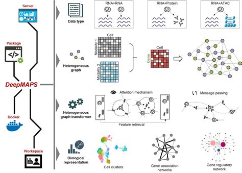Single Cell Biological Network Inference Using A Heterogeneous Graph