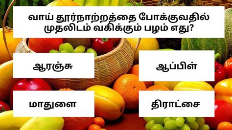 Amazing Questions And Answers In Tamil Tamil Gk General Knowledge