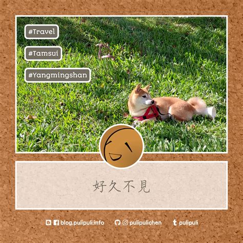 布丁布丁吃什麼？