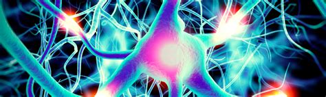 Neurology Ahf Americas Health Foundation 501 C 3 Non Profit Foundation