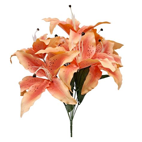 Peach Tiger Lily Bush 19