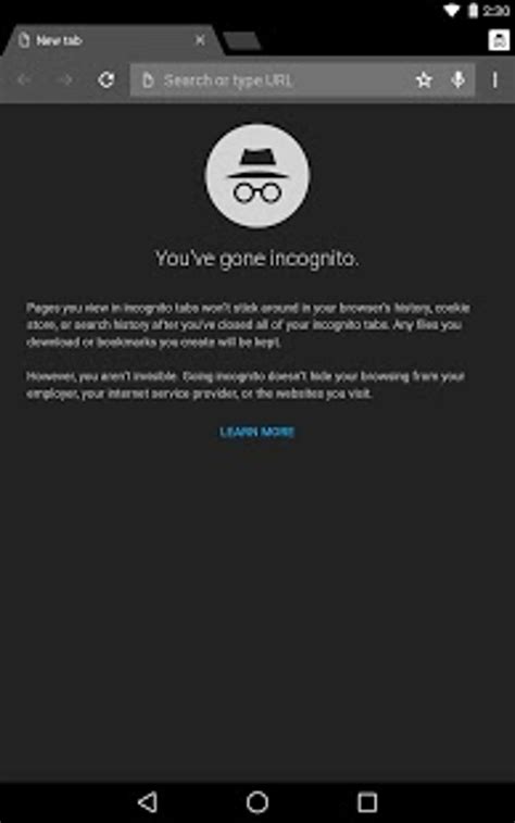 Chrome Dev APK For Android Download
