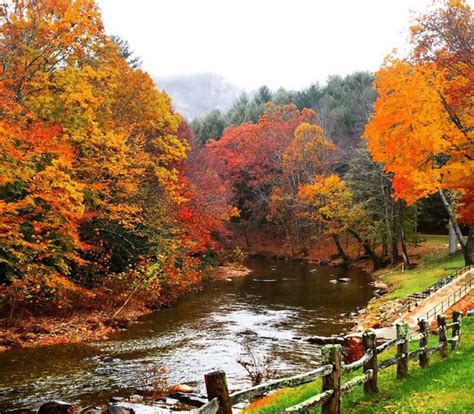 Toe River Campground Blue Ridge Parkway