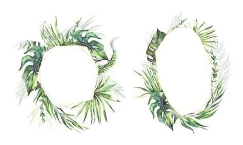 수채화 여름 프레임 컬렉션손으로 그린 열대 건조 야자수 잎 녹색 잎의 가지 웨딩 인사말 카드 초대 장 등에 딱 맞는 로맨틱 플로럴 꽃다발 0명에 대한 스톡 벡터 아트 및