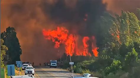 ¿por Qué Hay Tantos Incendios En La Patagonia En El Verano De 2025