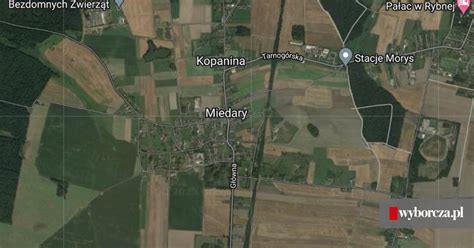 Kości ponad tysiąca gadów płazów i ryb znalezione na Śląsku Wśród szczątków sprzed mln lat