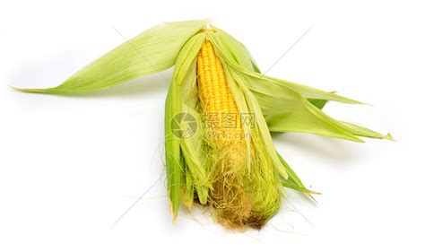 白色背景上的玉米食物叶子营养粮食金子玉米芯耳朵丝绸内核生产高清图片下载 正版图片320990370 摄图网