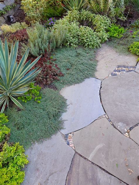 Two Drought And Heat Tolerant Gardens