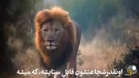 زیباترین کلیپ برای تولد مرداد ماهی ها فیلو