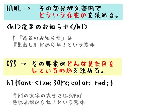 【超初心者向け】htmlの基礎知識マルッと習得講座｜web食い