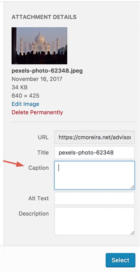 How To Add A Caption To The Images Advisor Quiz